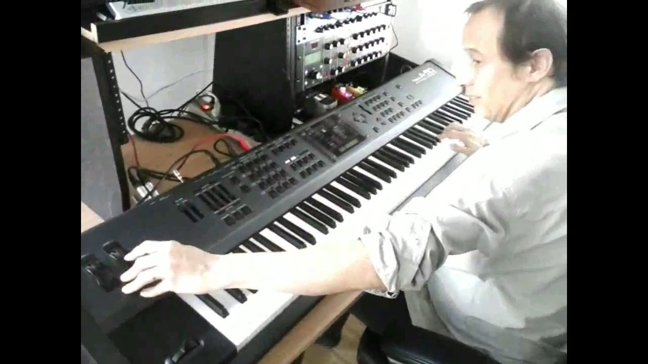 SE ELECTRONICS Minimoog D clone : Minimoog patch lead - YouTube