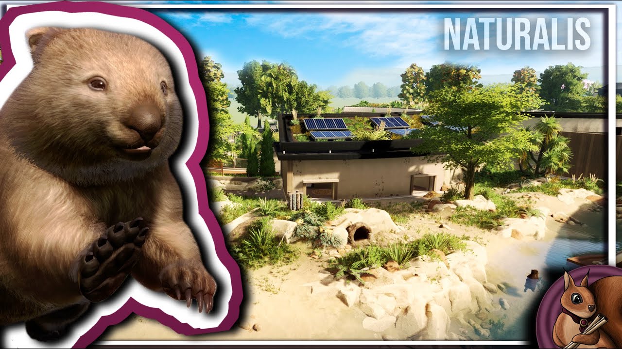 Building an Amazing Wombat Beach | Common Wombat Habitat | Planet Zoo ...