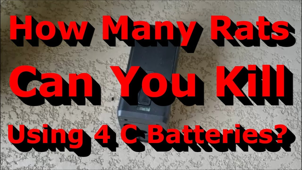 How many rats can you kill with 4 C batteries? - YouTube