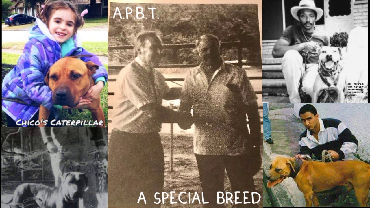 The SPECIAL Breed | Richard F. Stratton - YouTube