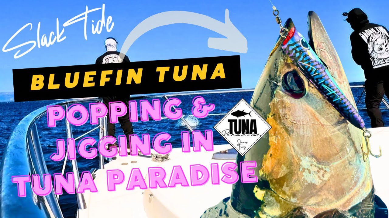 Popping & Jigging Bluefin Tuna with @TriayTunaParadise - YouTube