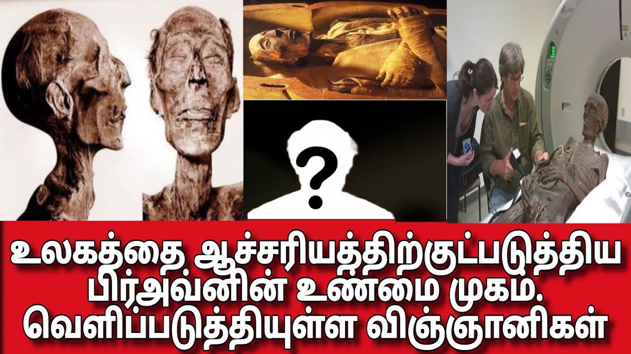 The Real Face of #Firon that surprised the #world , Scientists have ...