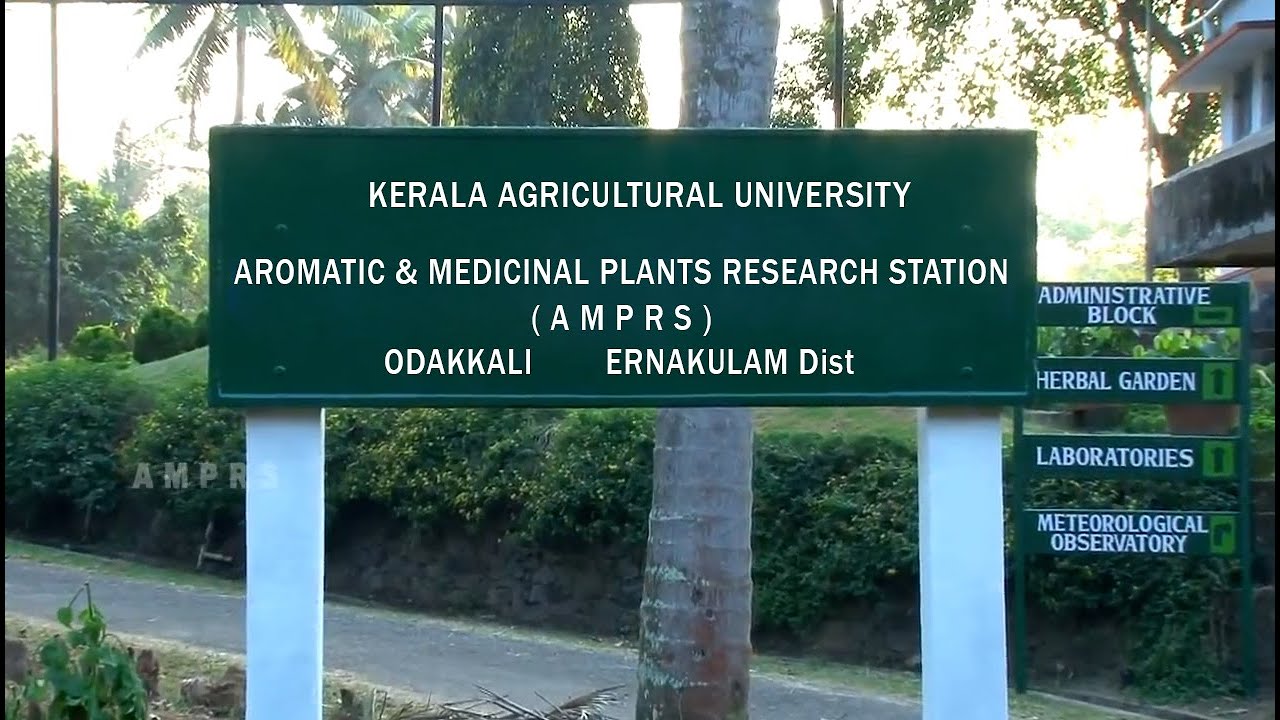 AMPRS, Odakkali- എ .എം.പി.ആർ.എസ് , ഓടക്കാലി - YouTube