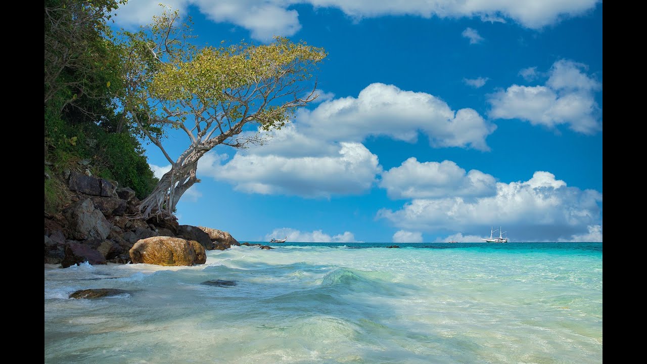 Tropical Beach Ambience on a Island in Thailand with Sea Sounds For ...