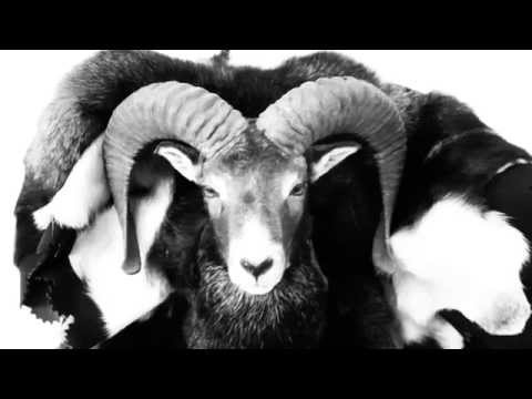 VIDEO OVYE SHOES FW 14/15