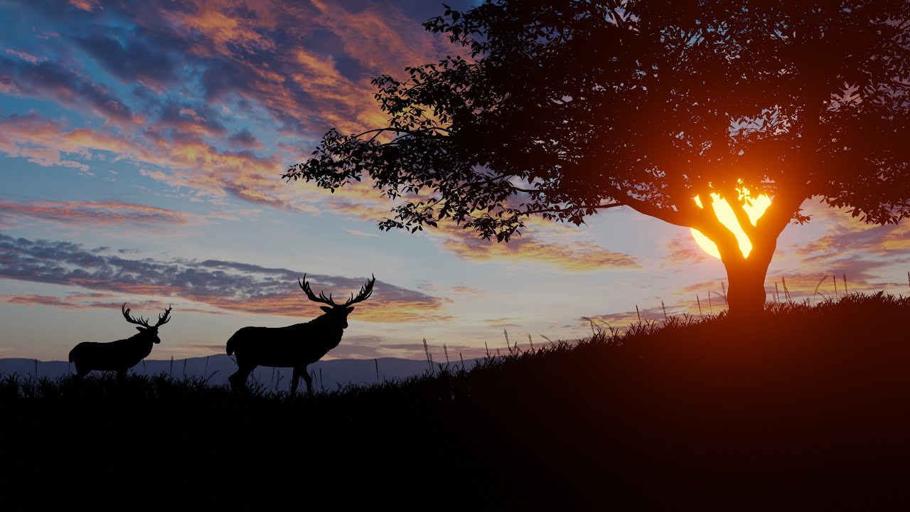 How to make sunset scene in blender - YouTube