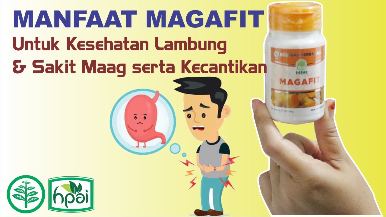 Manfaat Magafit HNI HPAI Untuk Kesehatan Lambung Sakit Maag Nyeri ...