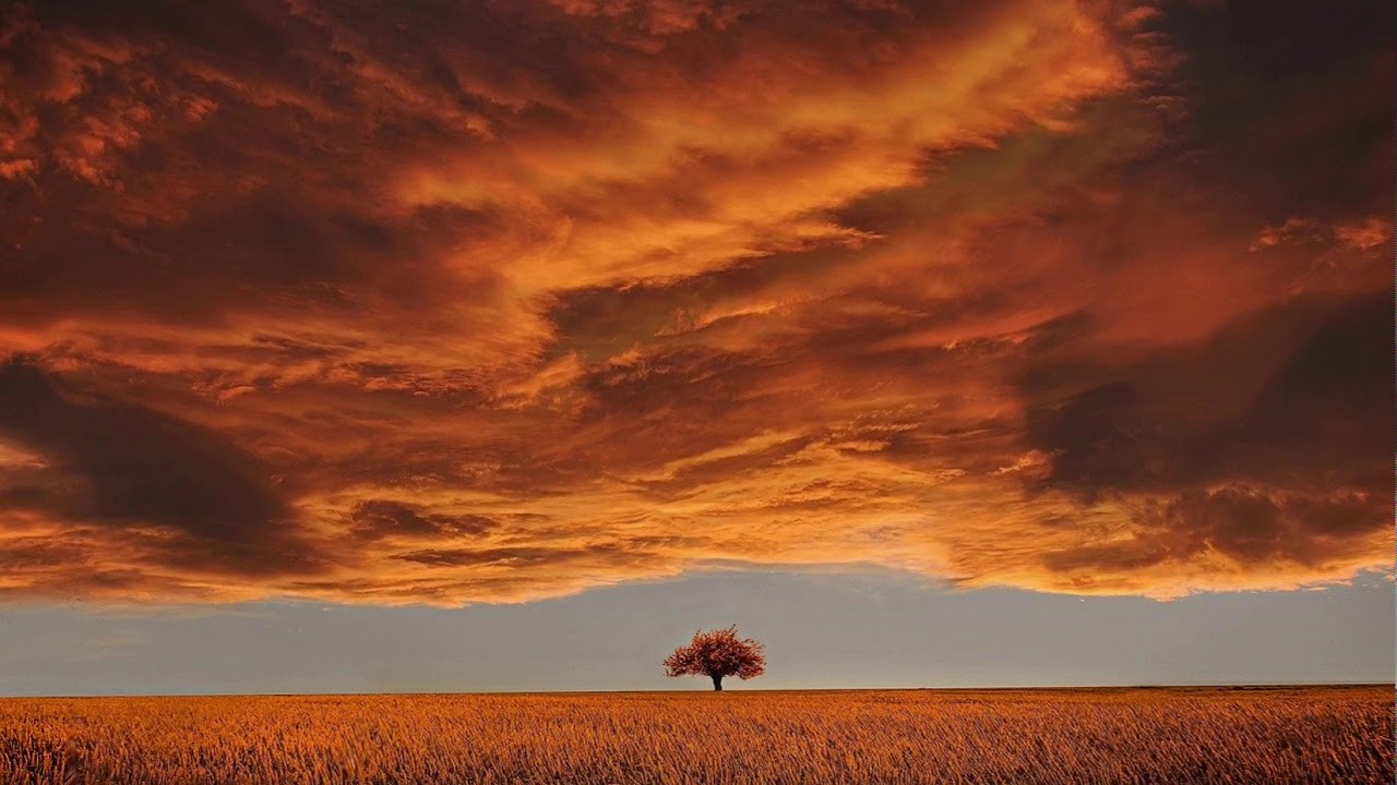 🆕free Video Background Loops Hd 1080p 🏽👉🏾 Free Video Background Loops ...