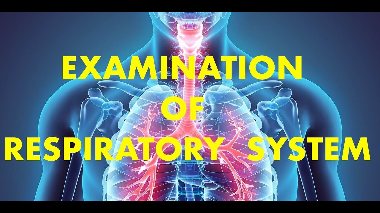 #MRCP#PLAB#PULMONOLOGY#MEDICINE#OSCE EXAMINATION OF RESPIRATORY SYSTEM ...