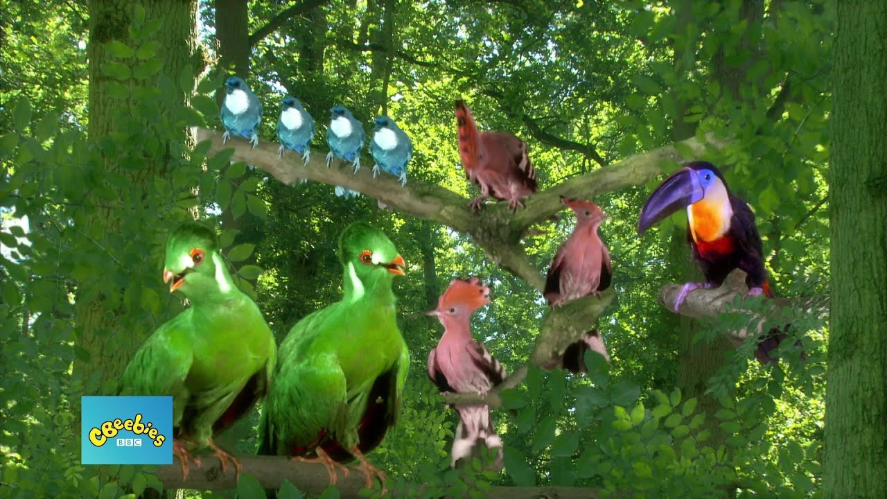 El Jardín de los Sueños: Una canción antes de descansar - YouTube