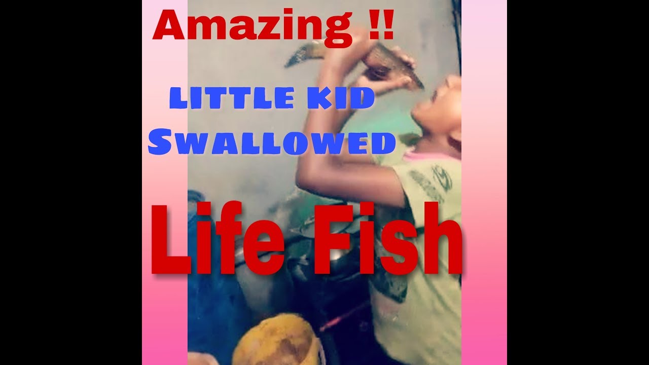 Amazing little kid Swallowed life Fish - YouTube