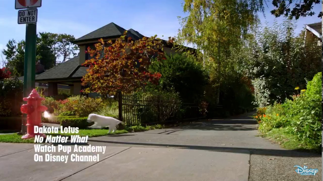 Pup academy theme song - YouTube