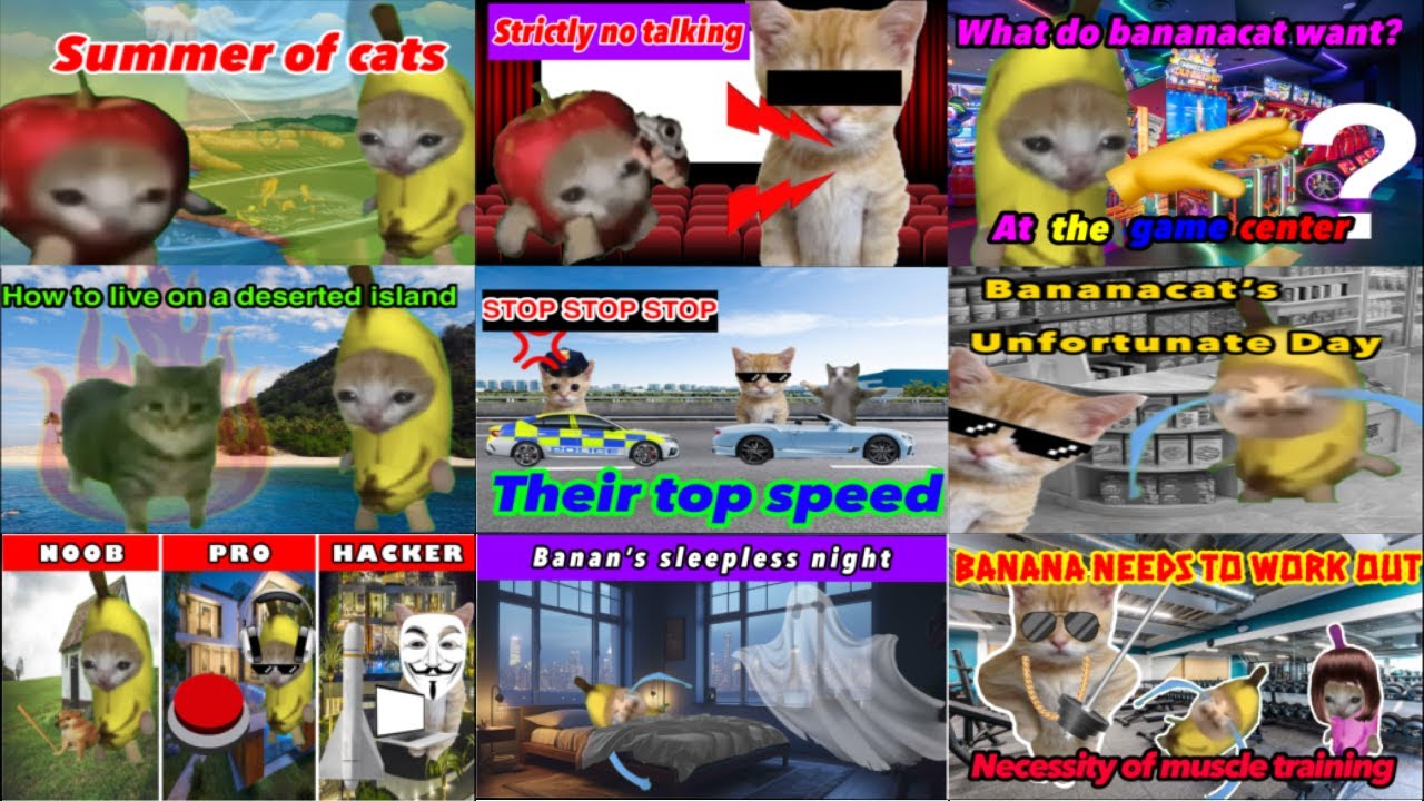 [Compilation video of 10] Funny video of cats [Cat meme] - YouTube