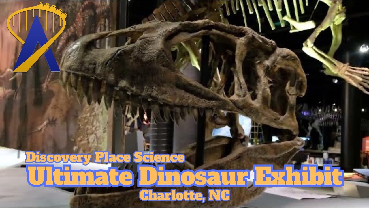 Ultimate Dinosaurs Exhibit at Discovery Place Science - Charlotte, NC ...