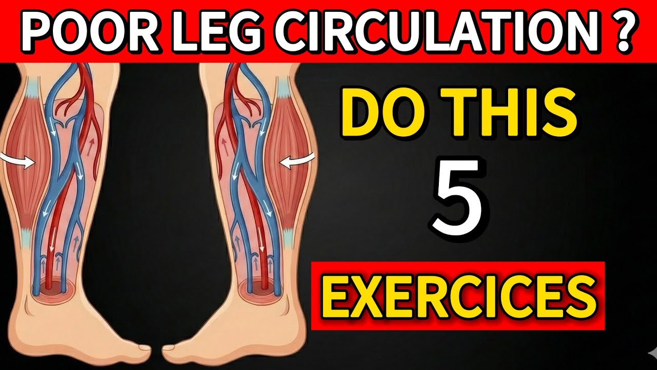 5 Simple Exercises to Fix Poor Leg Circulation in Seniors (Do This ...