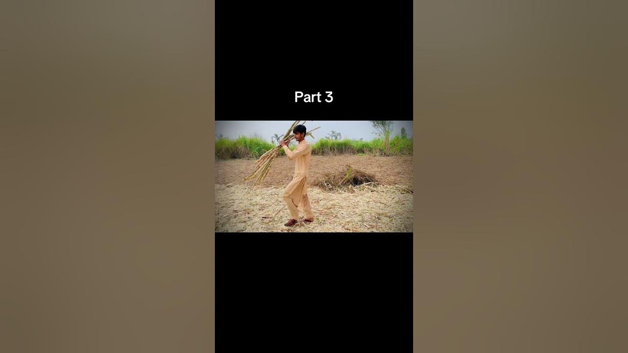 #foryou #food #growmyaccoun #youtubevideo #duet #growmyacount #channelplease - YouTube