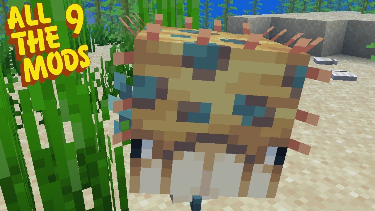 Pufferfish Attack! - EP33 - All The Mods 9 - YouTube