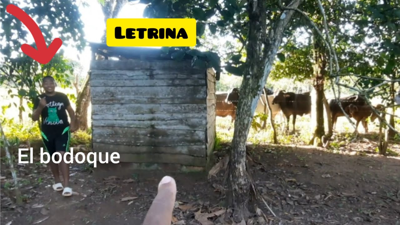 EL BODOQUE CUENTA EXPERIENCIA DE SU VIAJE CAMPO - YouTube