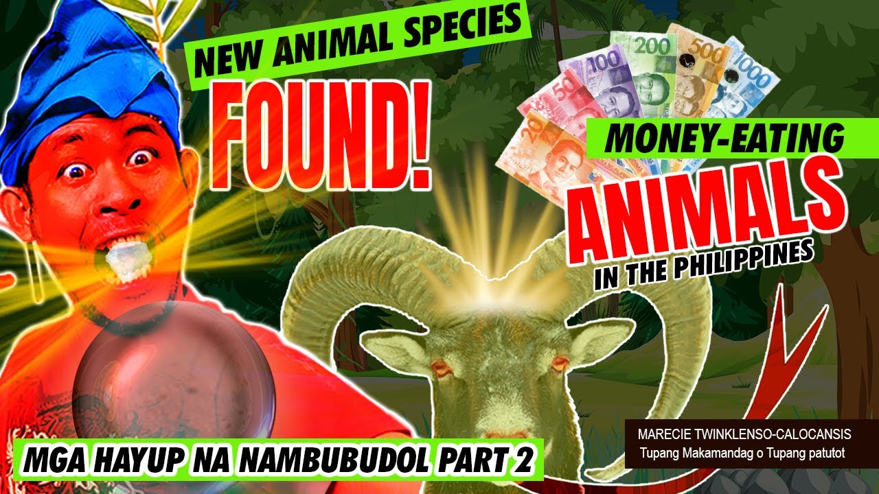 Money-Eating Animals: Mga Hayup Na Nambubudol Part 2 - YouTube