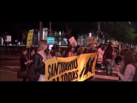 ICE PROTESTERS BLOCK 101 FREEWAY ONRAMP IN DOWNTOWN LA - YouTube