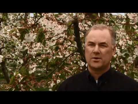 Meet Sage Fruit's Founder and President, Peter Verbrugge - YouTube