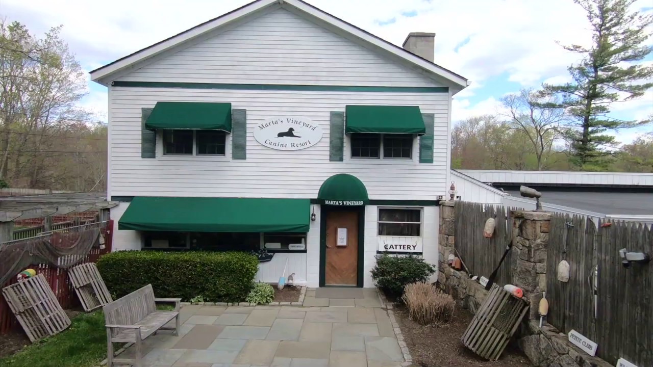 Marta S Vineyard Canine Resort Reviews