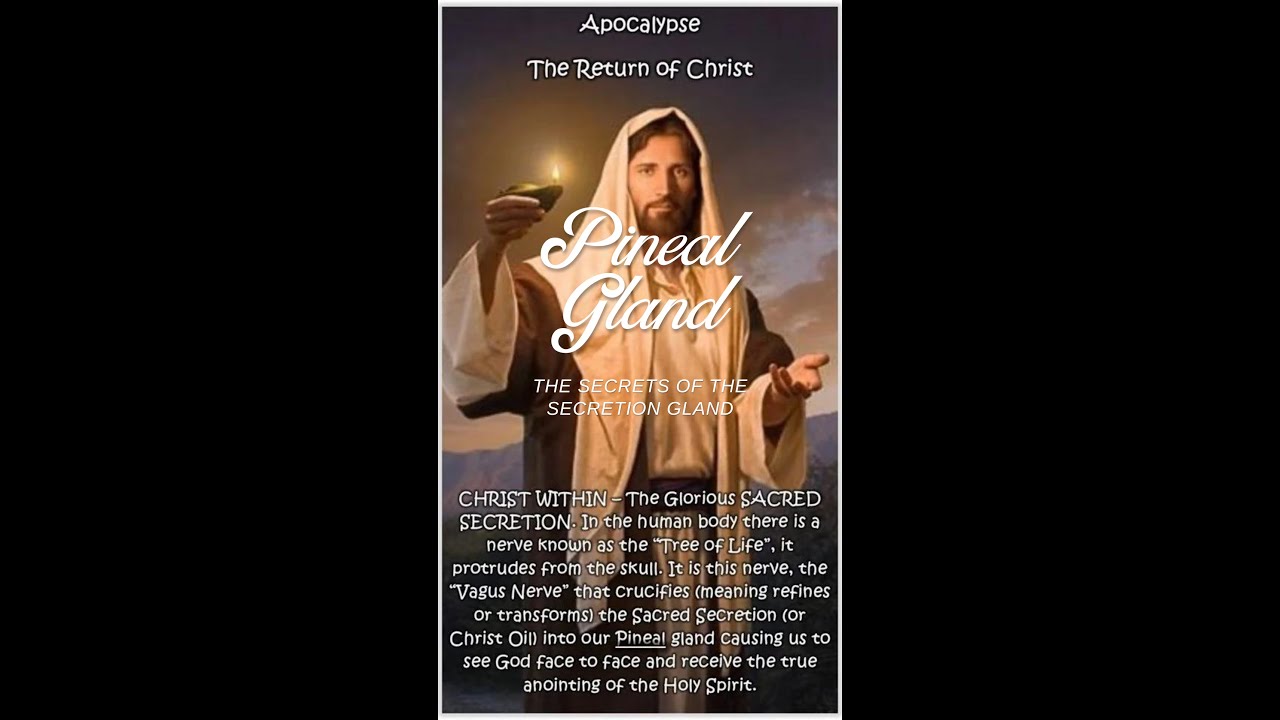 The Pineal Gland & The Mystical Cristos Oil #revelation - YouTube