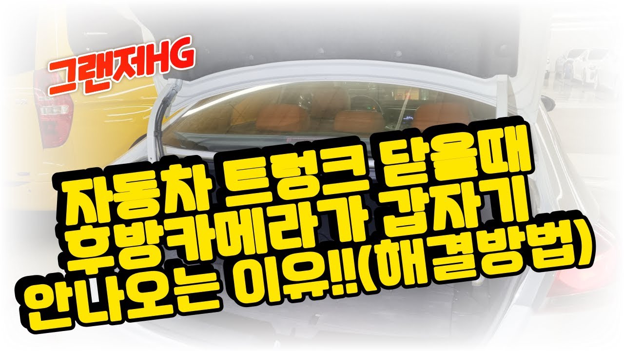 트렁크 닫을때 후방카메라 안나오는 증상 (해결방법) / Rear view camera not working when ...