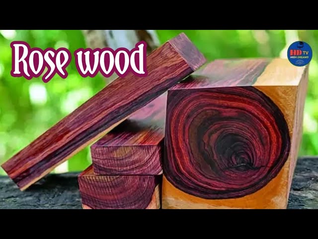 Rosewood Tree In Telugu