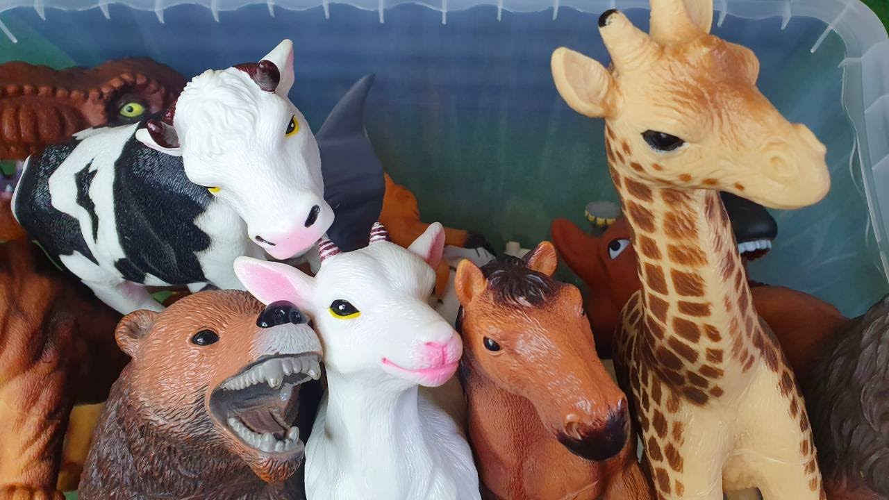 Lot of zoo wild animals Toys in a Box /Safari Videos And Toys - YouTube
