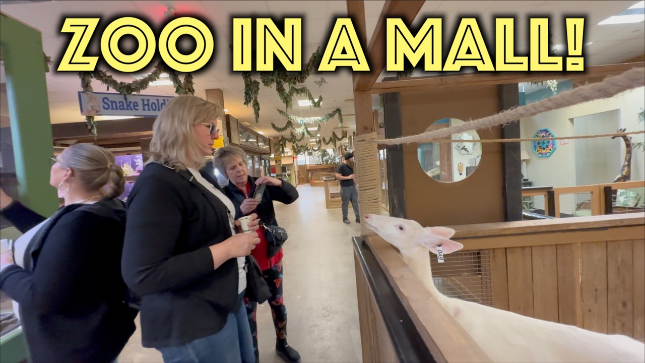 Animals in a Mall? Yes, in Maplewood, Minnesota! - YouTube