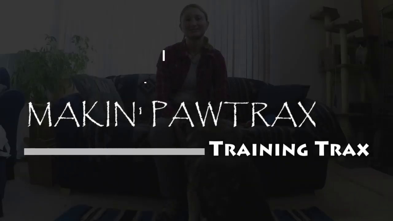 Training Trax Hand Target Training - YouTube