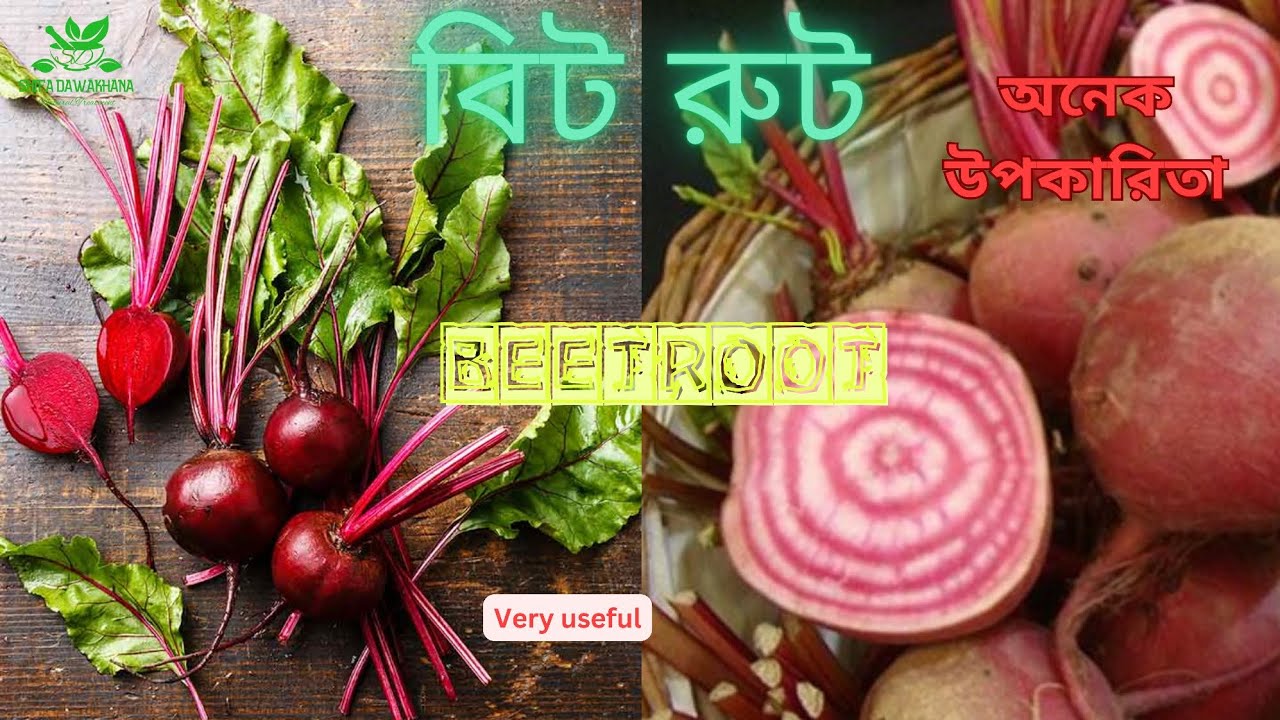BEETROOT বিটরুট - YouTube