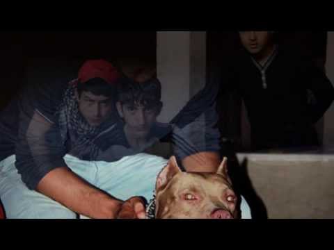 Emre Akdeniz [ Can Emre ] Emin bozan, Tribal Ömer, [ Derdim çok benim ] 2013