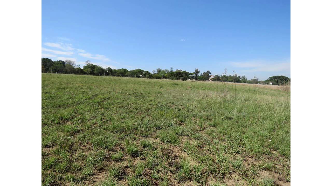 Seasonal changes in a suburban mesic grassland - YouTube