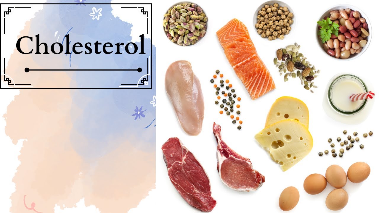331- cholesterol synthesis regulation overview diagram (3) - YouTube