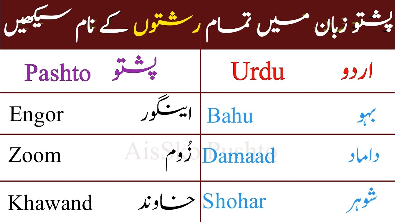 Members Of Family In Pashto And Urdu/ Learn Relations Names In Pashto ...