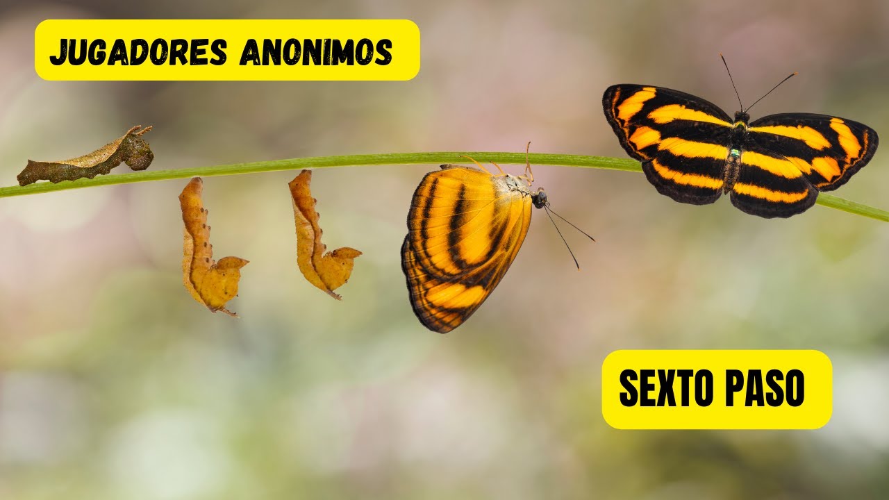 El Sexto Paso: LISTOS PARA EL CAMBIO " - YouTube