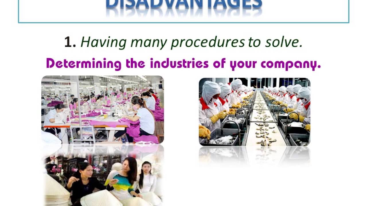Advantages And Disadvantages Of Being Self Employed YouTube advantages-and-disadvantages-of-being-self-employed-youtube