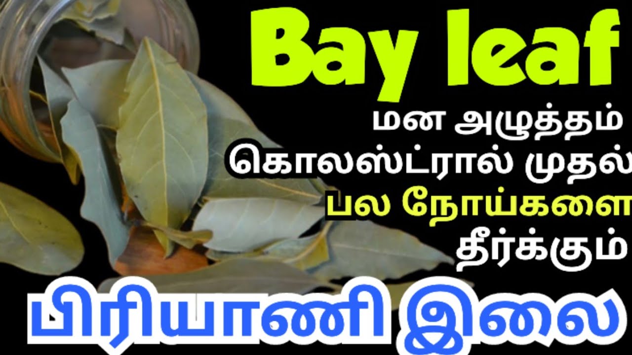 biryani ilai benefits in tamil| பிரியாணி இலை பயன்கள்| bay leaf benefits ...