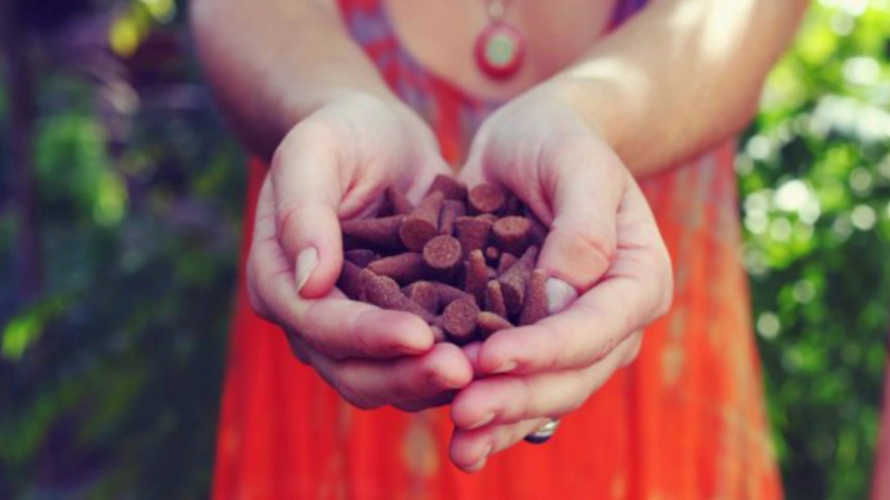 Leith Masters Live Stream - YouTube