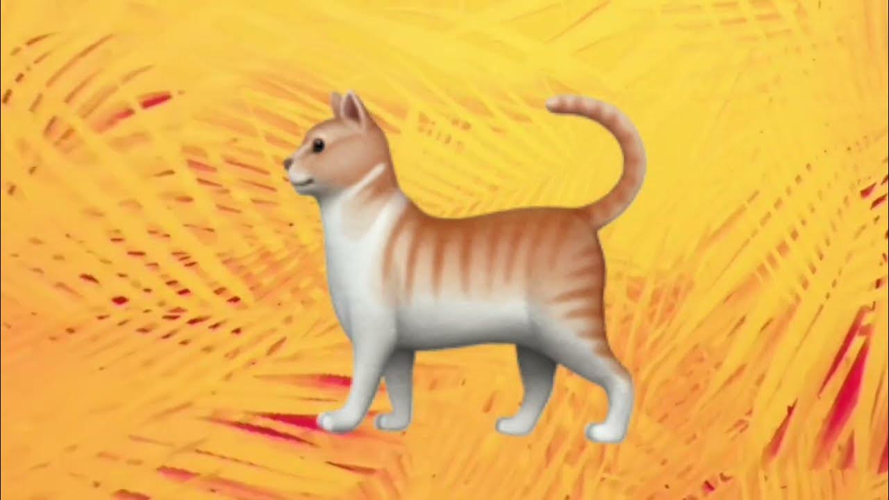 Low quality cats (My tabby trailer is high quality) - YouTube