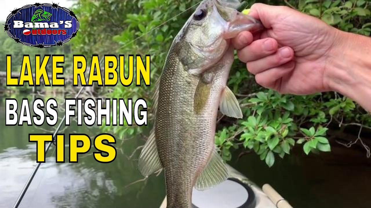 LAKE RABUN FISHING TIPS AND TECHNIQUES FOR BASS - YouTube