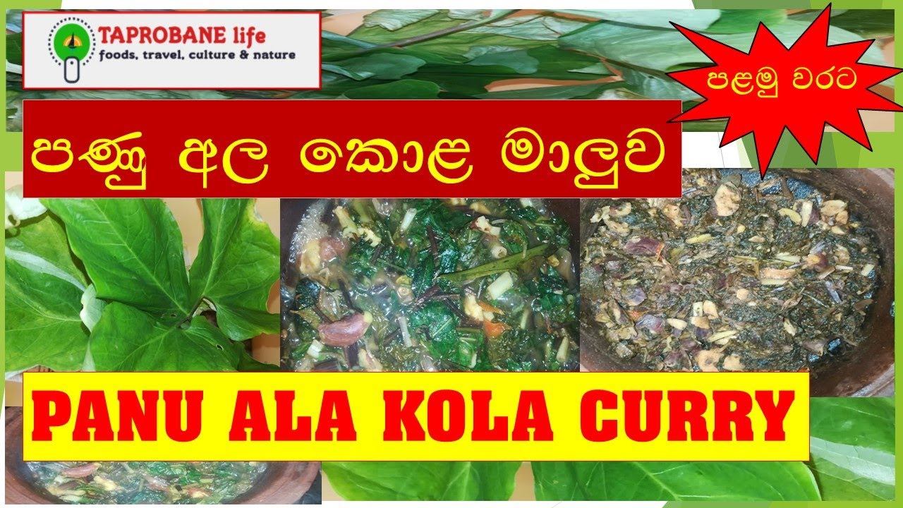 Panu Ala Kola Curry, Ala kola Malu, Ala kola curry, Jack fruit seeds ...