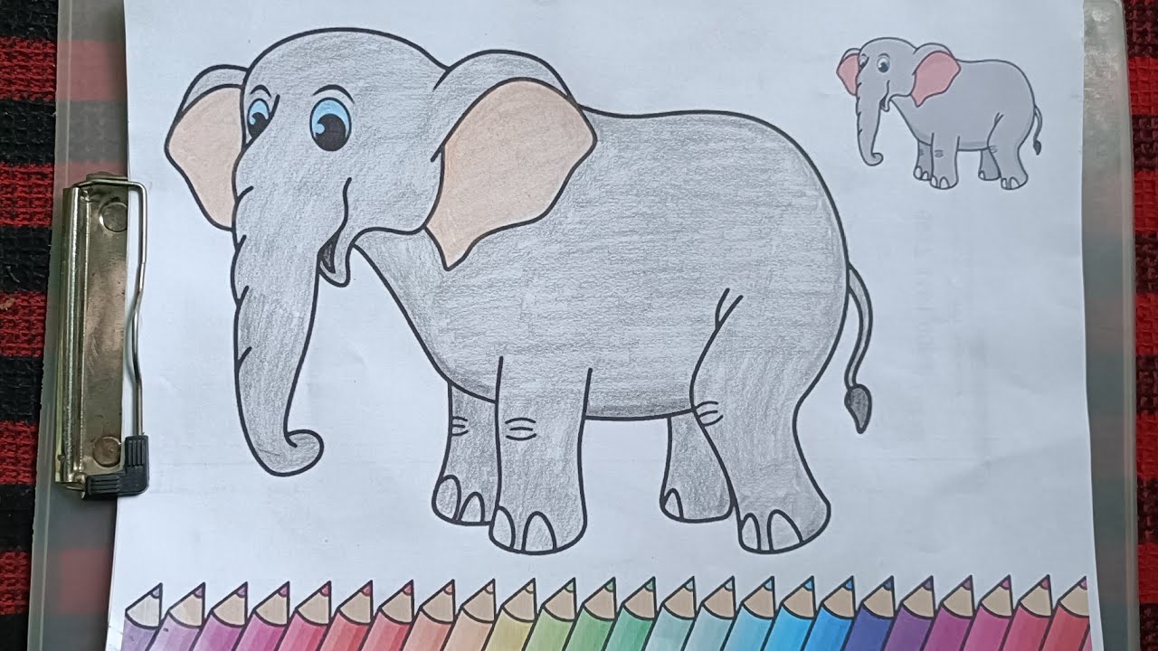 Hathi pencil colour drawing _ AJ ART 1M _ - YouTube