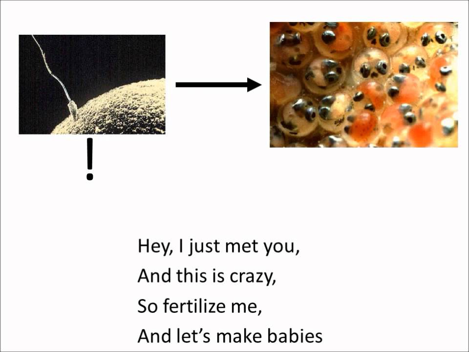 Fertilize Me Maybe - YouTube