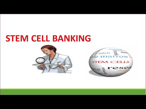 stem cell banking process - YouTube