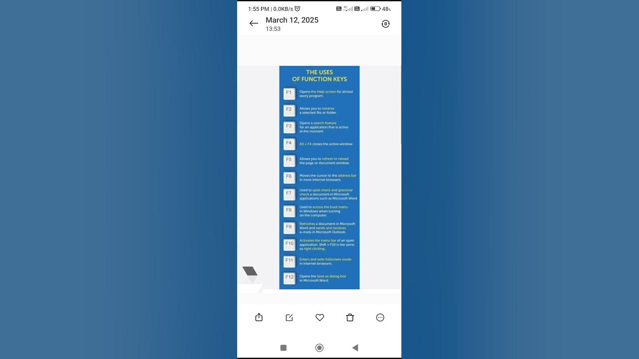 function keys( F1-F12) - YouTube