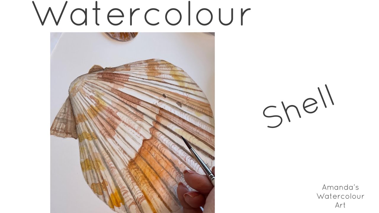 Watercolour Colour Shell || Quick & Easy || Amandas Watercolour Art ...