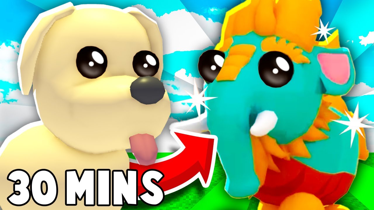 Trading From Dog To LEGENDARY In 30 Minutes! Roblox Adopt Me Trading ...